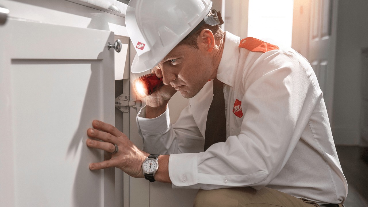 Orkin Pest Control| Services
